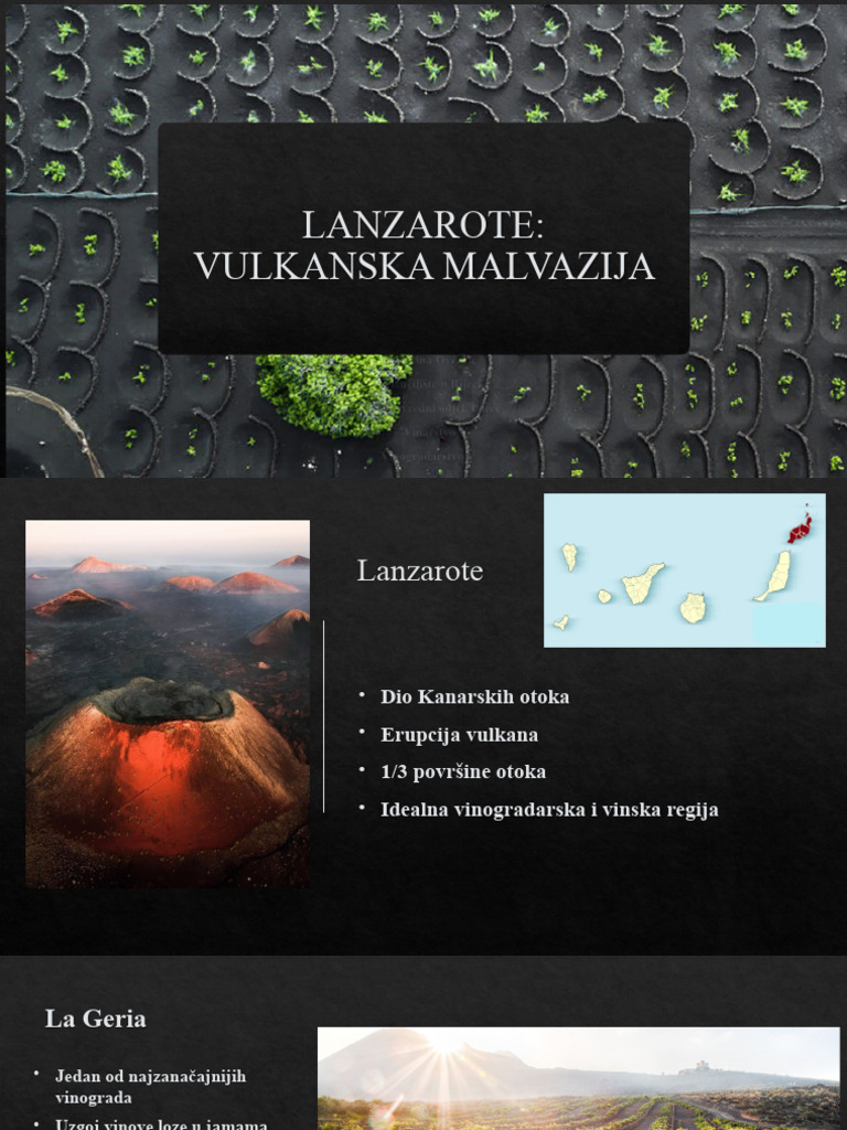 Fenomen Vulkanske Malvazije | PDF