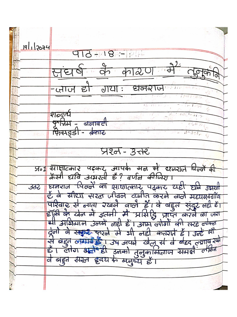 Hindi Notes | PDF