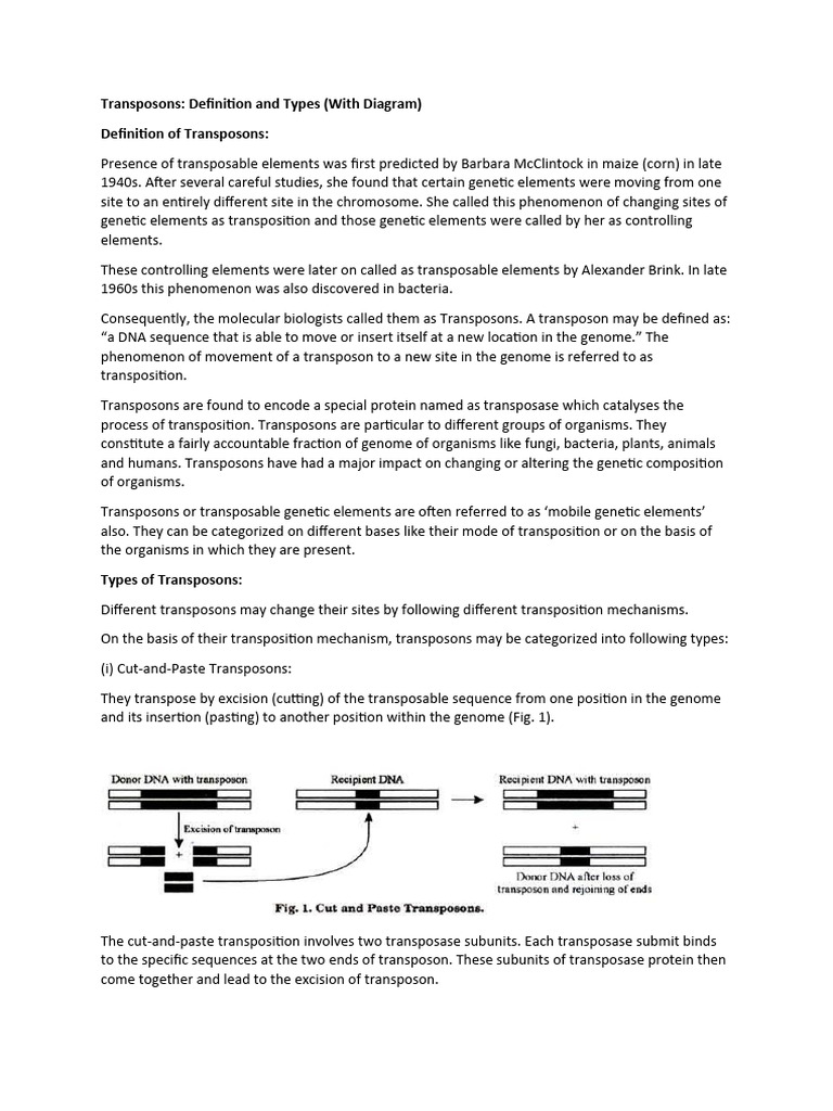 Transposons | Download Free PDF | Transposable Element | Dna