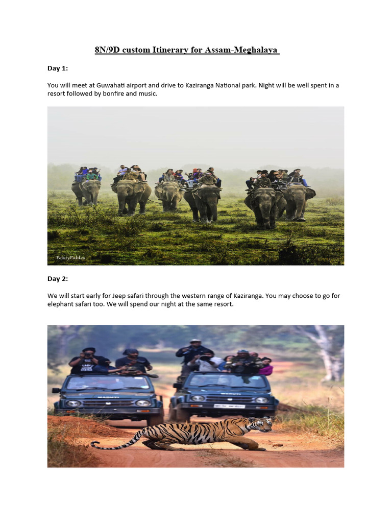 8N/9D Assam-Meghalaya Itinerary | PDF