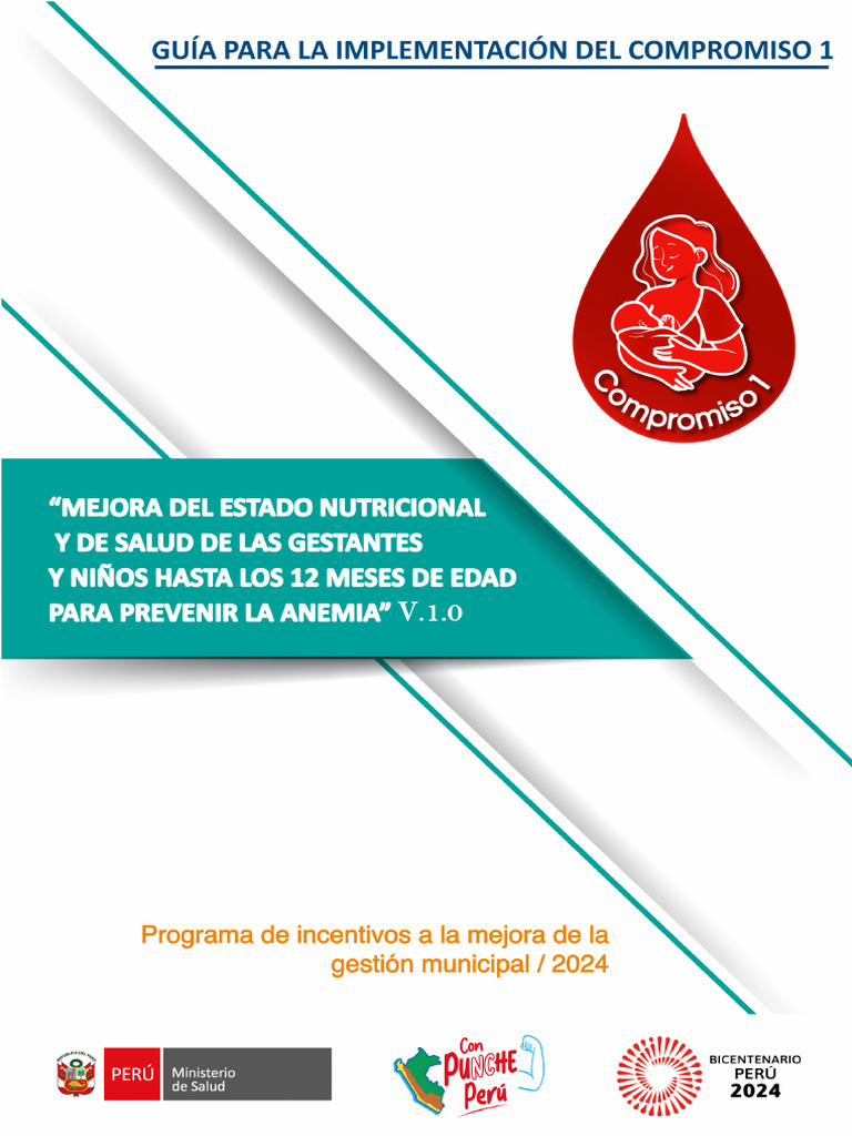 Guía De Visitas Domiciliarias Compromiso 1 Pdf Parto El Embarazo