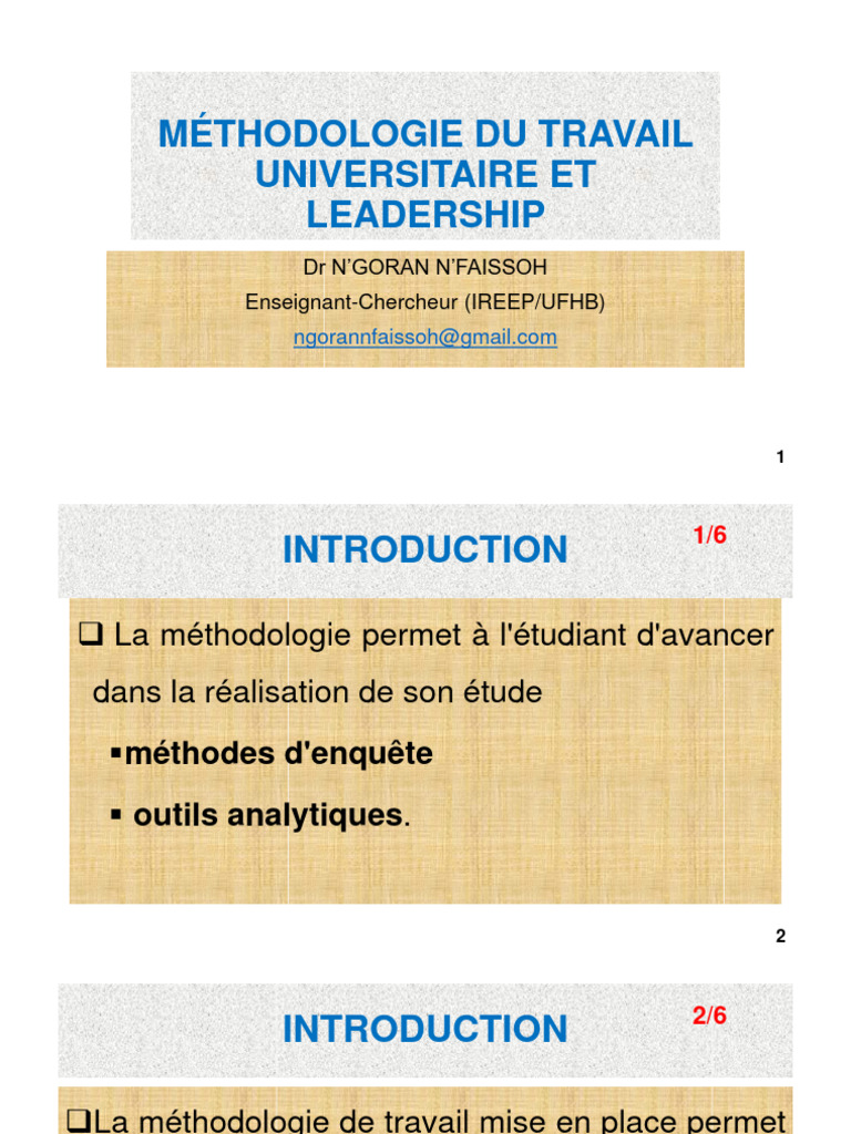 Méthodologie Du Travail Universitaire Et Leadership | PDF