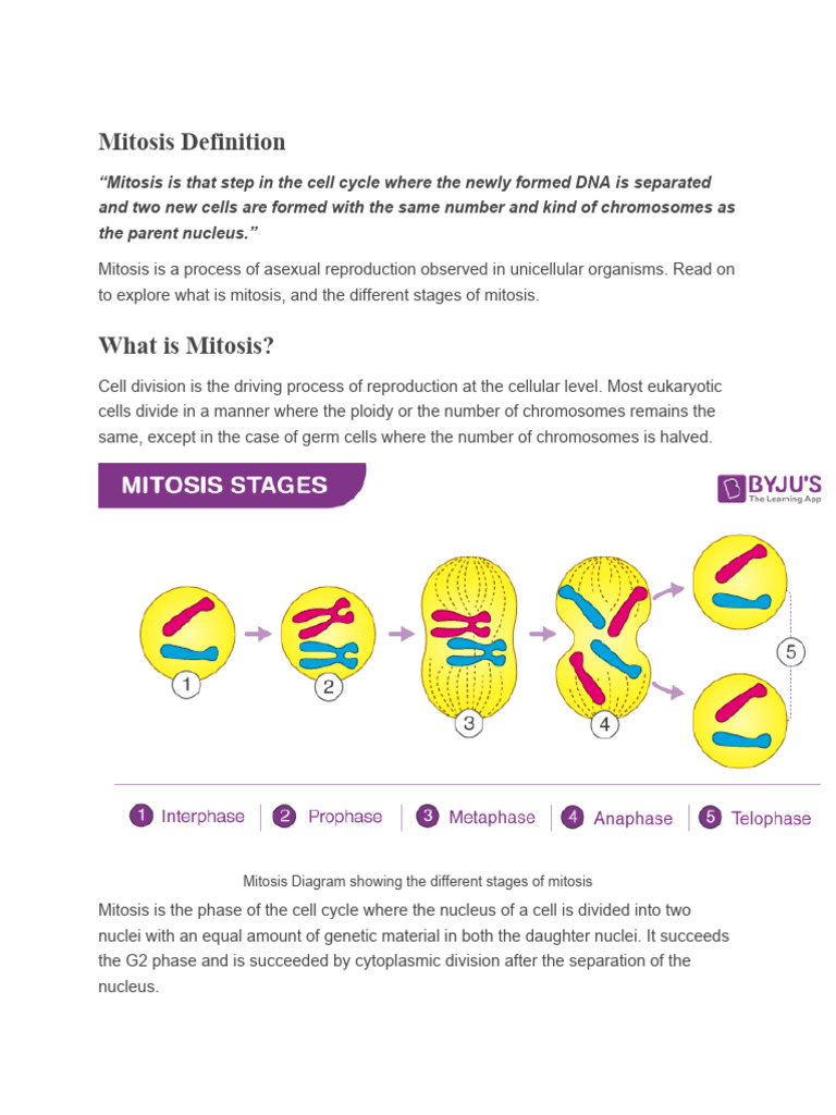 Mitosis Definition | PDF | Mitosis | Chromosome