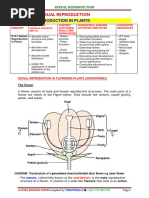 Biology Project Topics - 2024-2025, Class 12 | PDF | Cancer ...