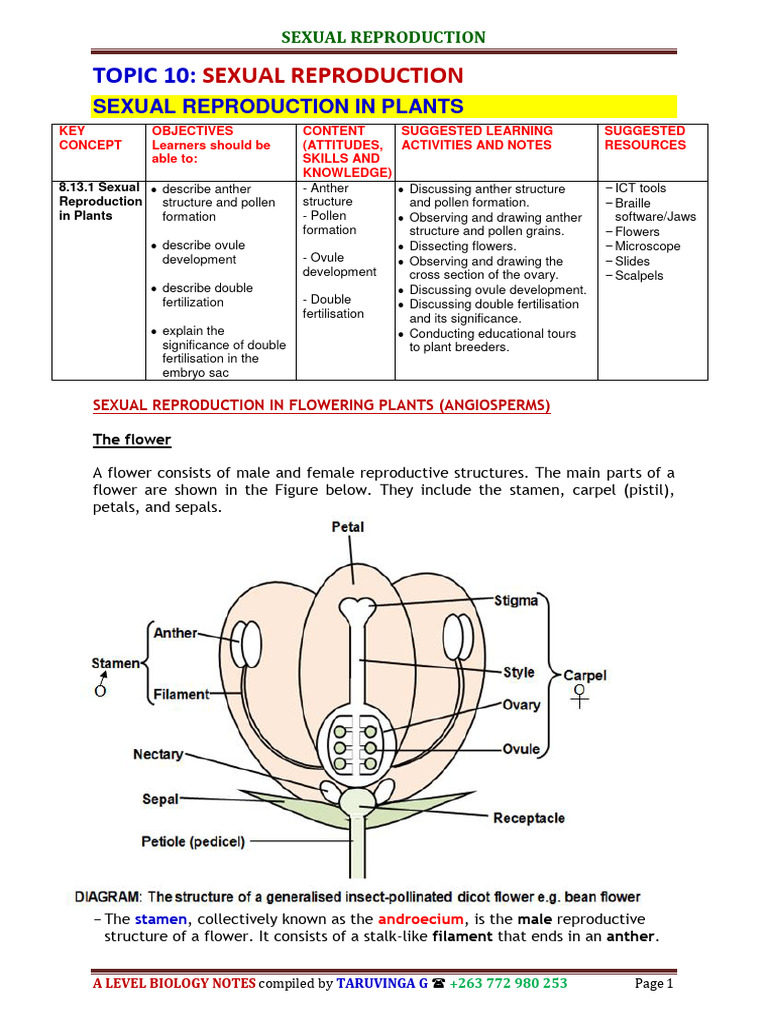 Topic 10 Reproduction in Plants Revised Roysci Notes 2021 | PDF ...