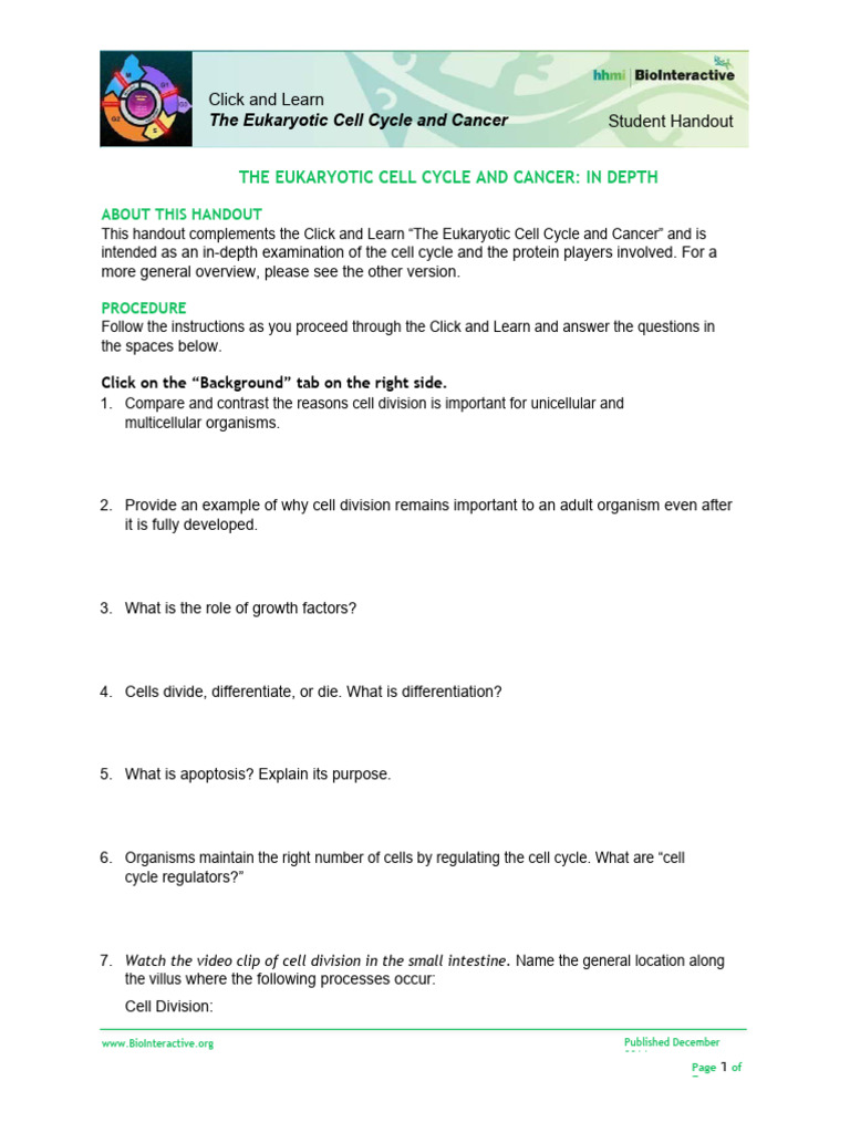 HHMI eukaryotic cell cycle and cancer | PDF | Cell Cycle | Cell (Biology)