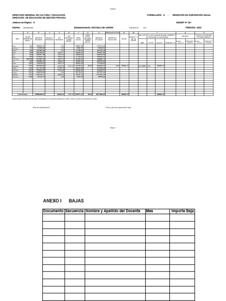 Rsa Form A y Anexos 1942-Enviados 2022 | PDF