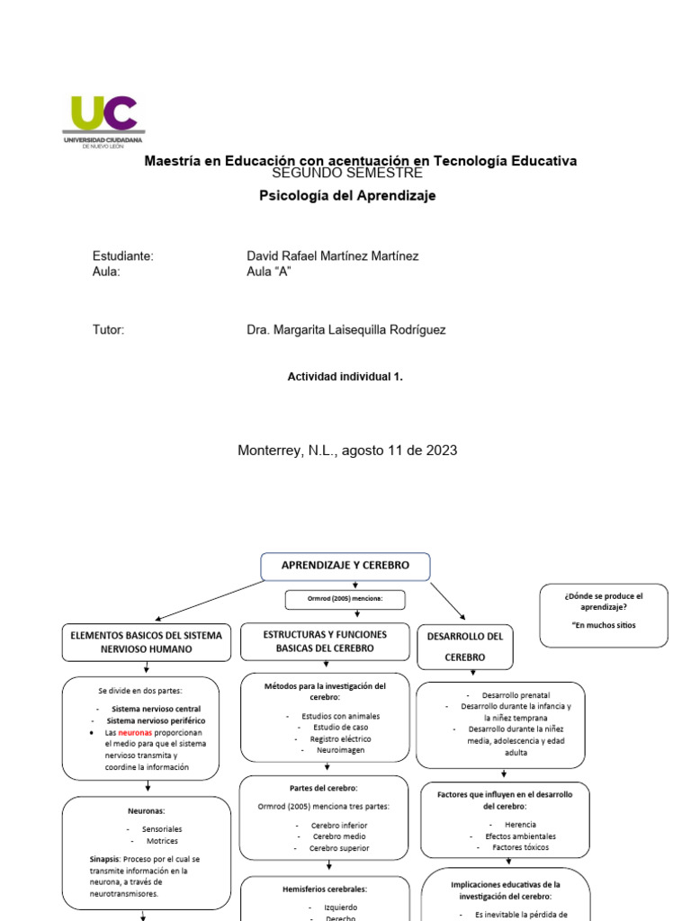 Mapa Conceptual | PDF