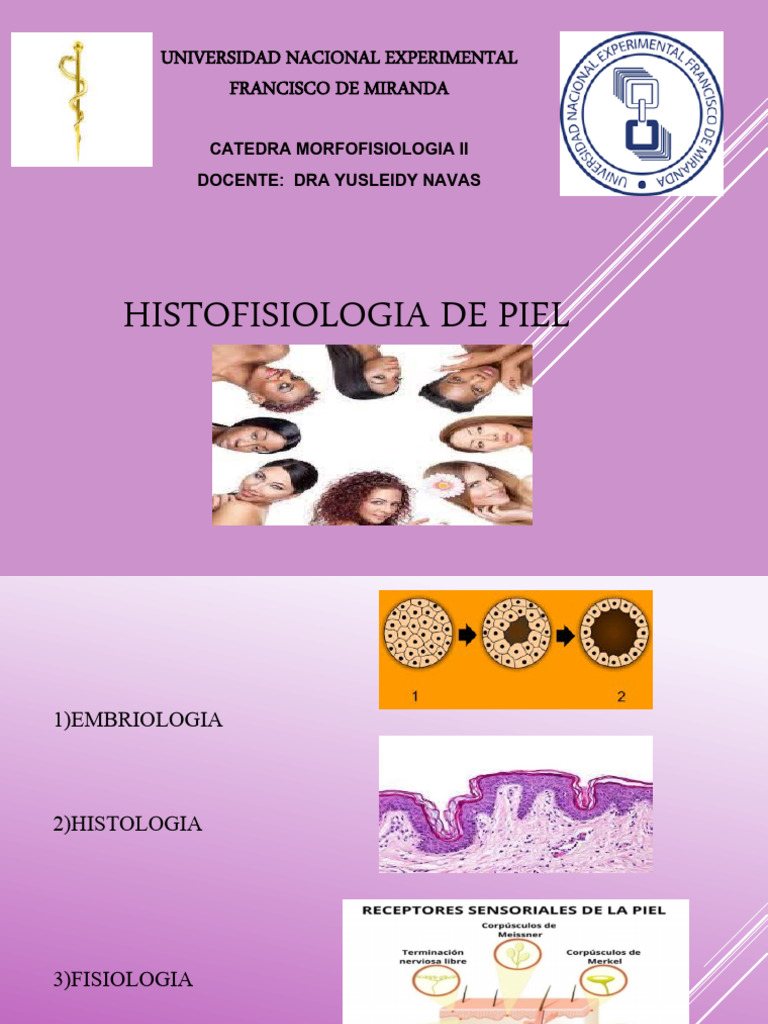 Clase de Piel Febrero 2024 | PDF | Piel | Epidermis