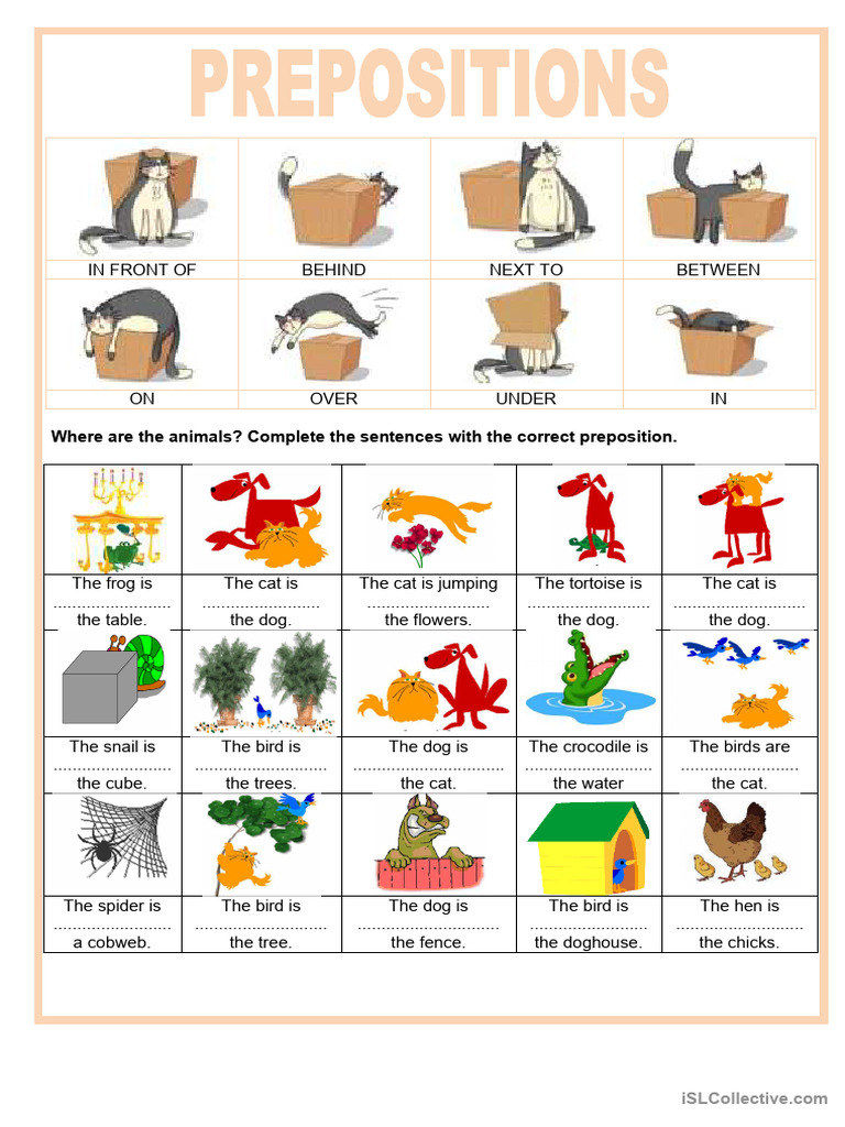 Prepositions - Where Are the Animals | PDF