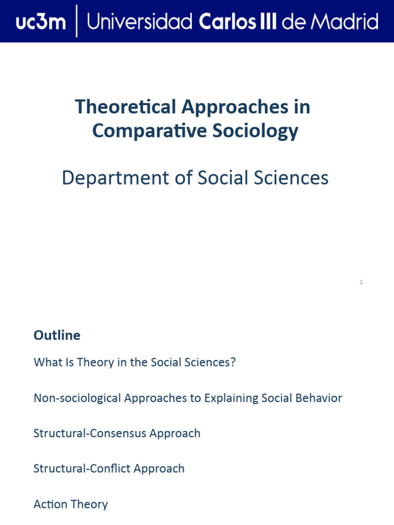 w3 Theoretical Approaches | PDF | Theory | Sociology