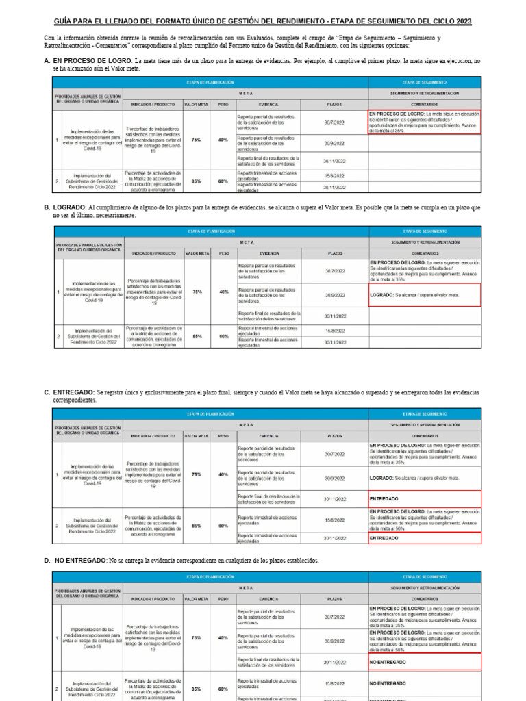 Guía para El Llenado Del Formato GDR | PDF | Finanzas y dinero