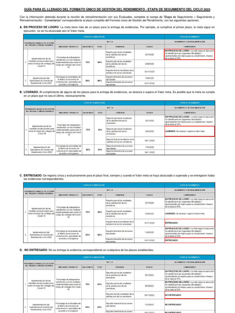 Guía para el llenado del Formato GDR 2023 | PDF