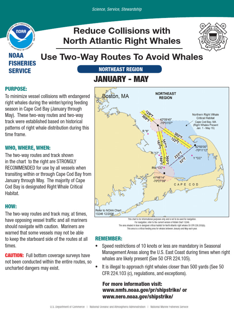 Recommended Shipping Lanes Right Whale Ship Strike Reduction Opr2 | PDF ...