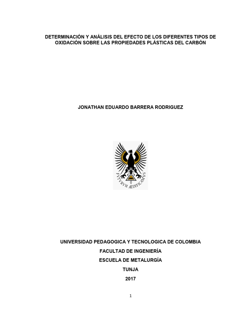 Libro EFECTOS DE OXIDACIÓN EN EL CARBON | PDF | Carbón | Dióxido de carbono