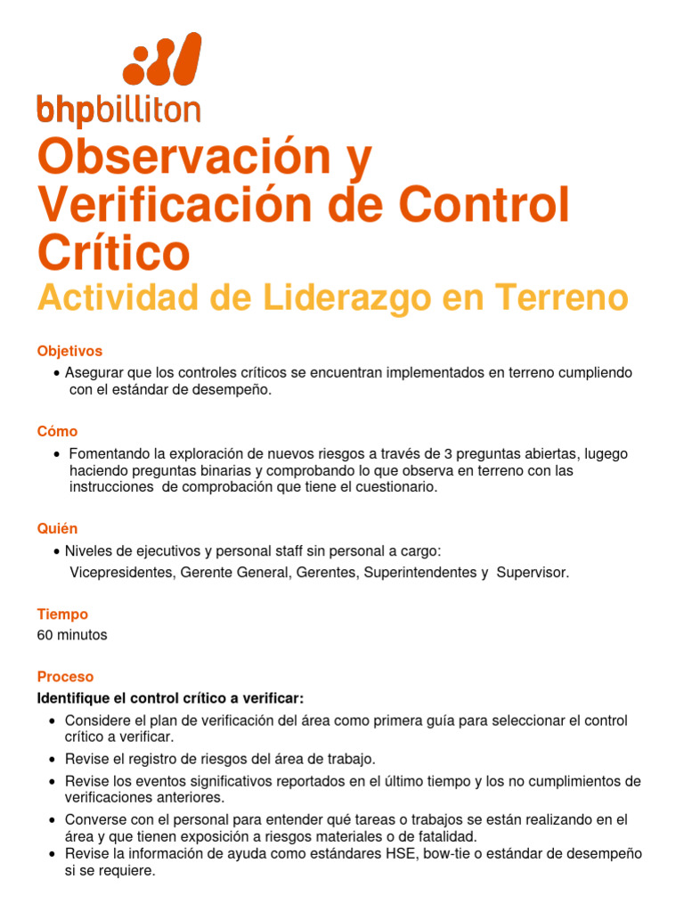Verificación de Controles Críticos en Terreno | PDF