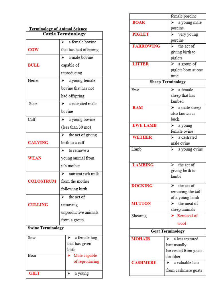 Terminology of Animal Science KEY | PDF | Sheep | Cattle