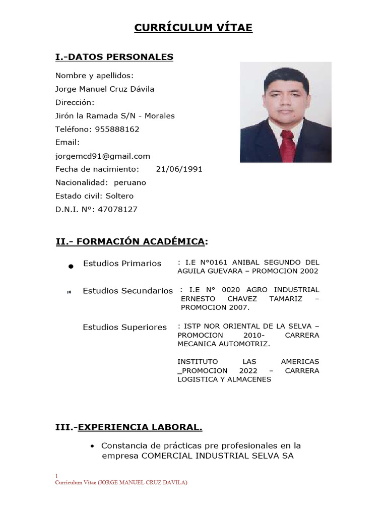 CV Jorge Manuel Actualizado | PDF