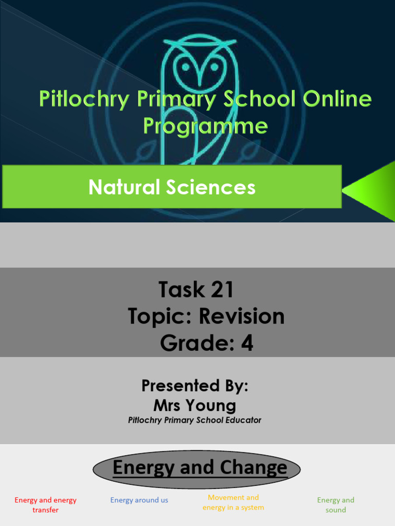 Grade 4 Natural Sciences and Technology Task 21 | PDF | Sound | Hearing