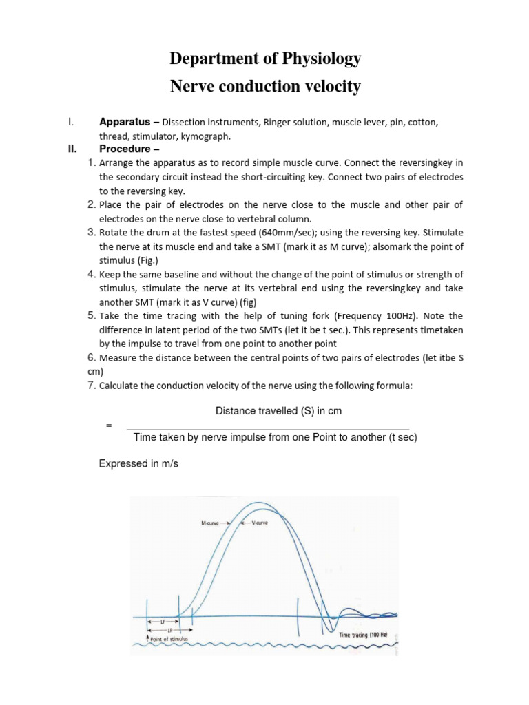 Nerve Condction Velocity | PDF | Axon | Nerve