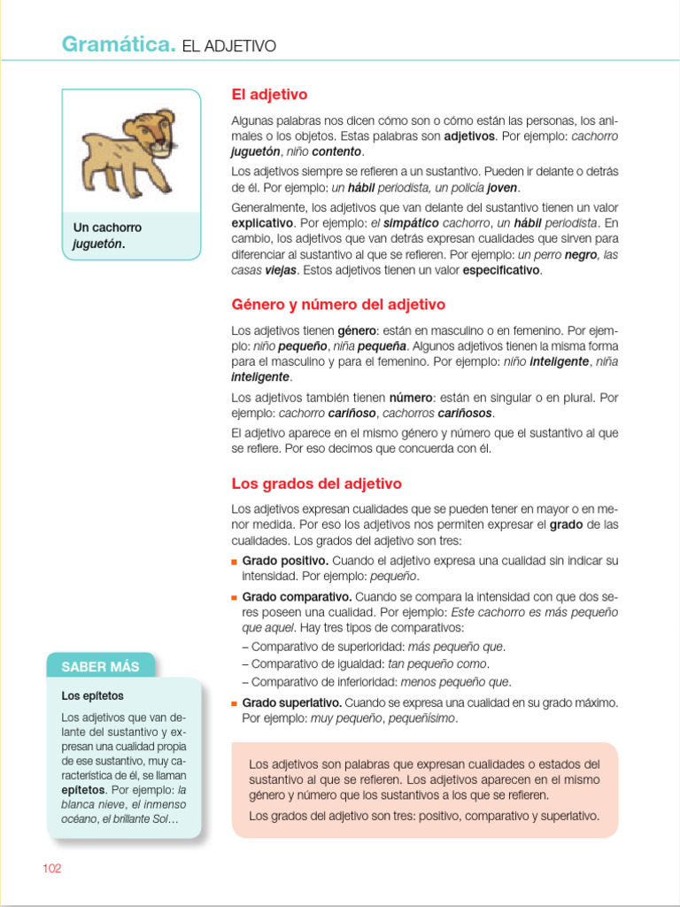 EL ADJETIVO y Actividades | PDF | Adjetivo | Género gramatical