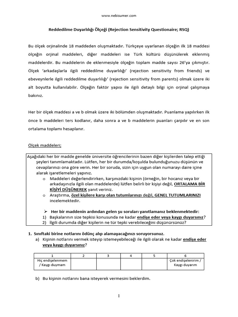 Rejection Sensitivity | PDF