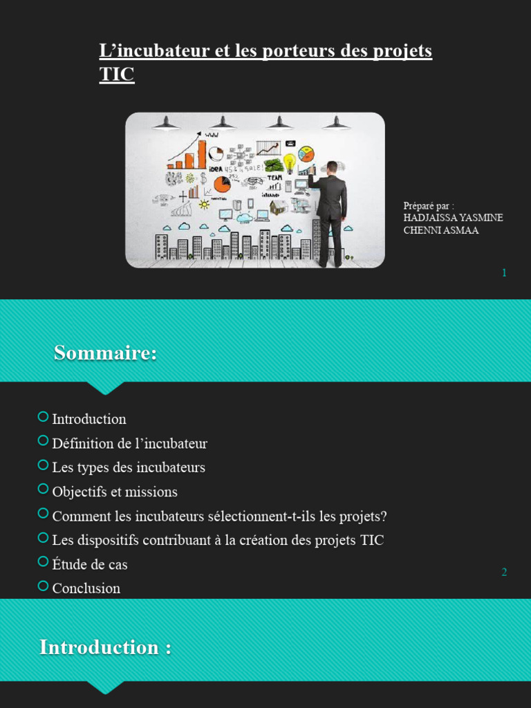 Définition et rôle des incubateurs | PDF | Incubateur d'entreprises | Entrepreneuriat