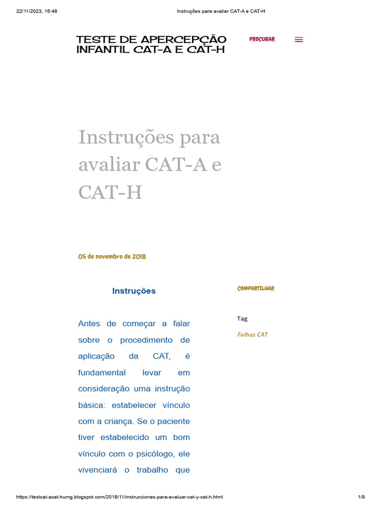 Instruções para Avaliar CAT-A e CAT-H | PDF | Psicologia | Tempo
