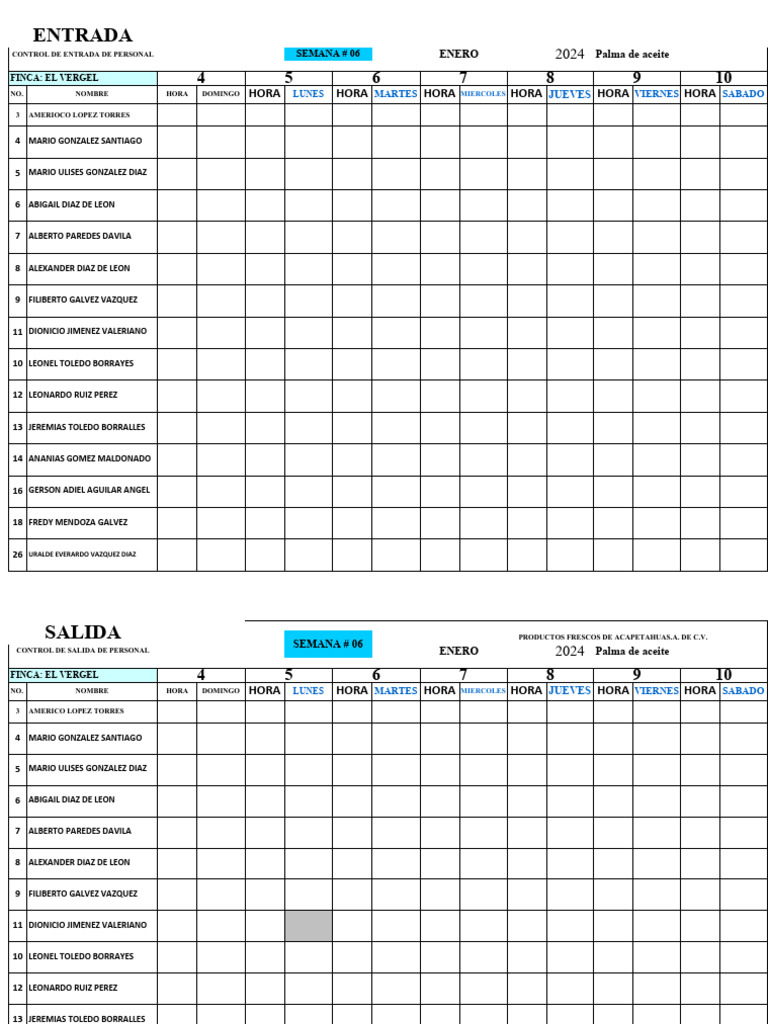 Entrada y Salida de Personal Formato | PDF