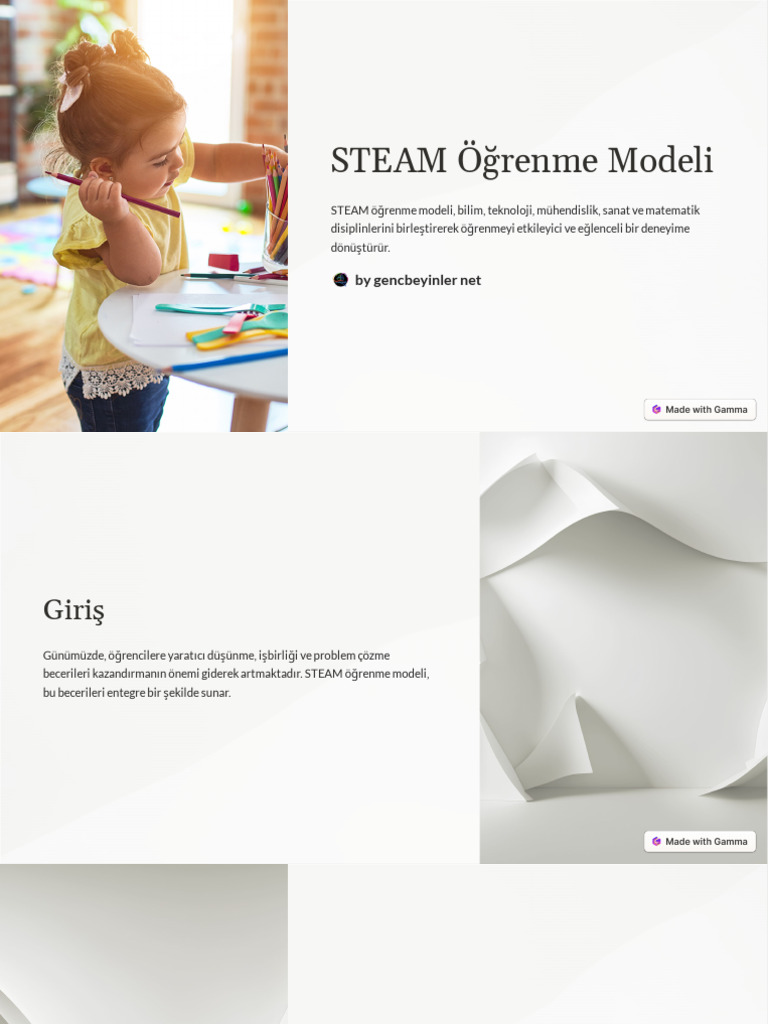 4 STEAM-Ogrenme-Modeli | PDF