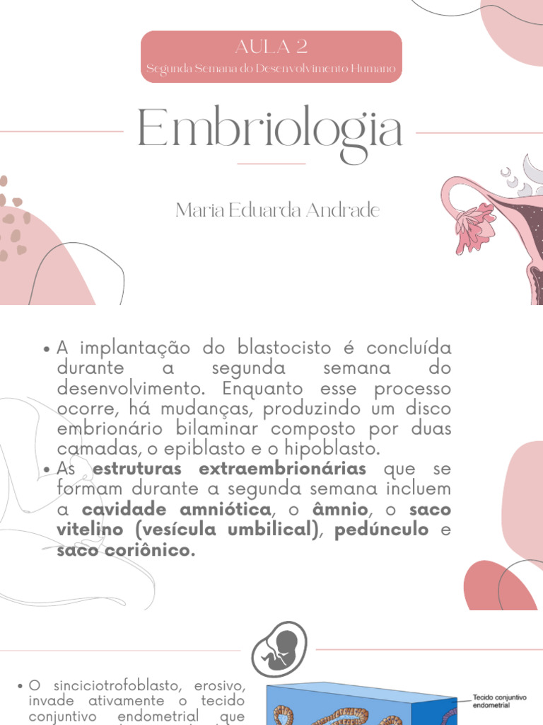 EMBRIOLOGIA - Aula 2 | PDF