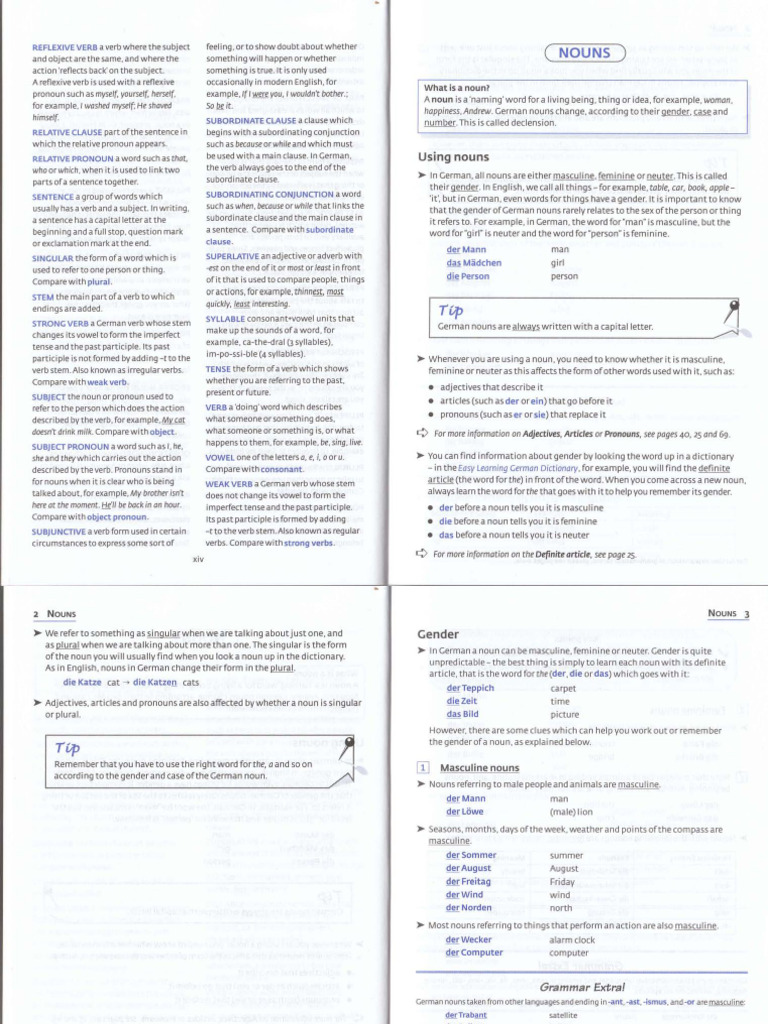 Collins Nouns | PDF | Grammatical Gender | Verb