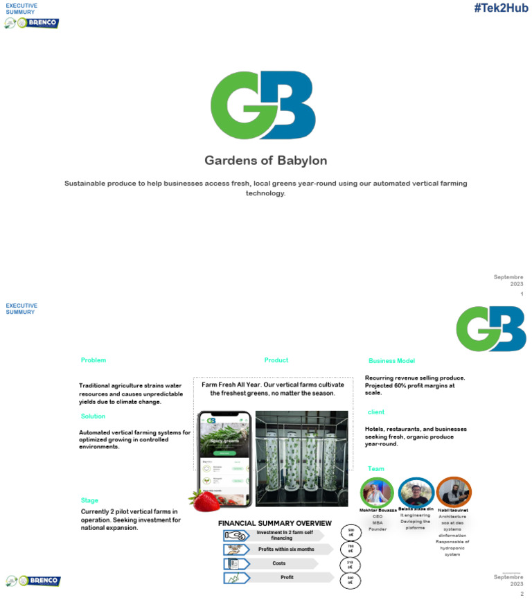 Model Executive Summury PitchingWorkshop Agriprenium Tek2hub 2023 | PDF
