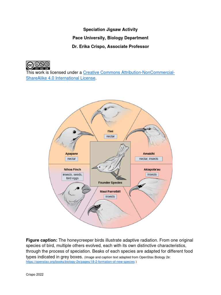Speciation Jigsaw Activity | PDF