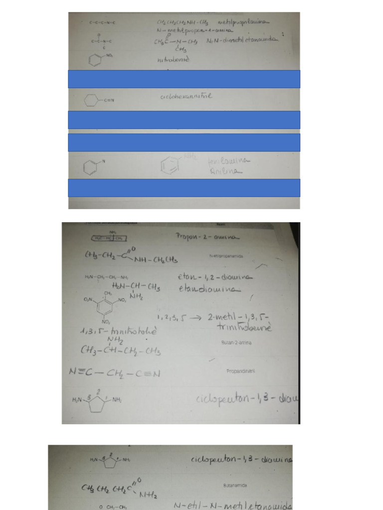 Solucions Compostos Nitrogenats | PDF