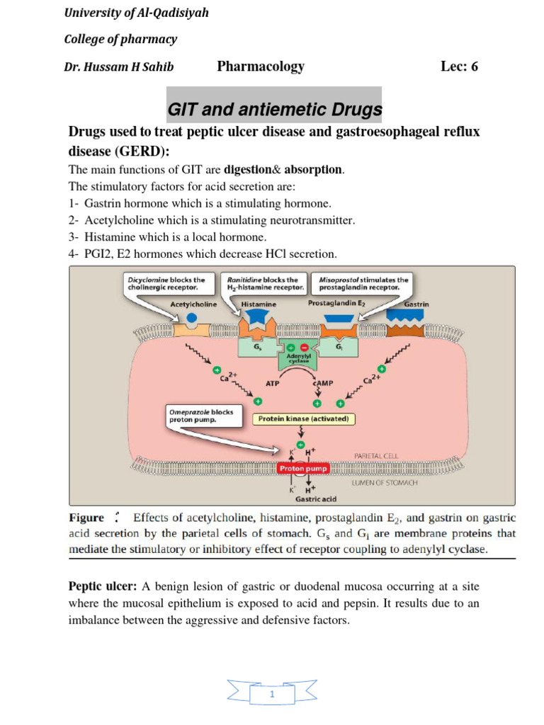 DR - Husam Git 2023 | PDF | Vomiting | Inflammatory Bowel Disease