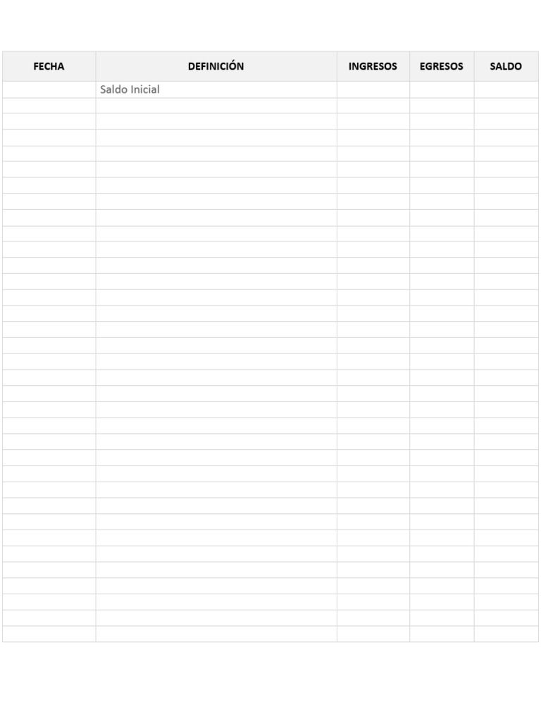 Formato Registro Contable | PDF