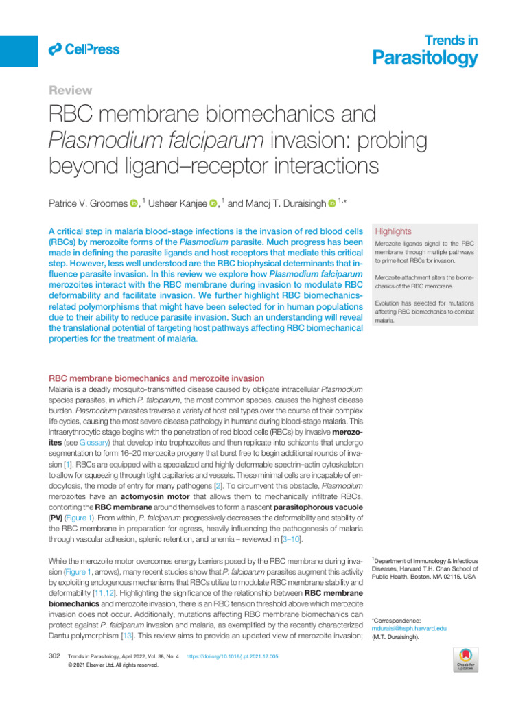 Cell Review | PDF | Cell Membrane | Red Blood Cell