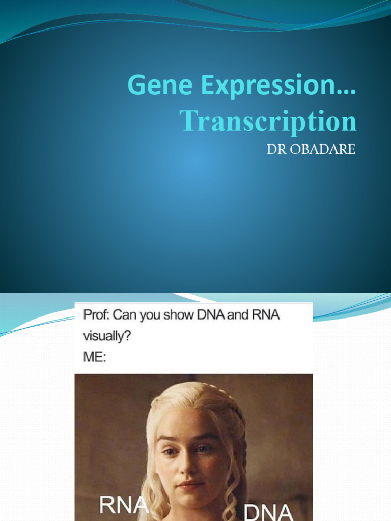 Transcription | PDF | Rna | Messenger Rna