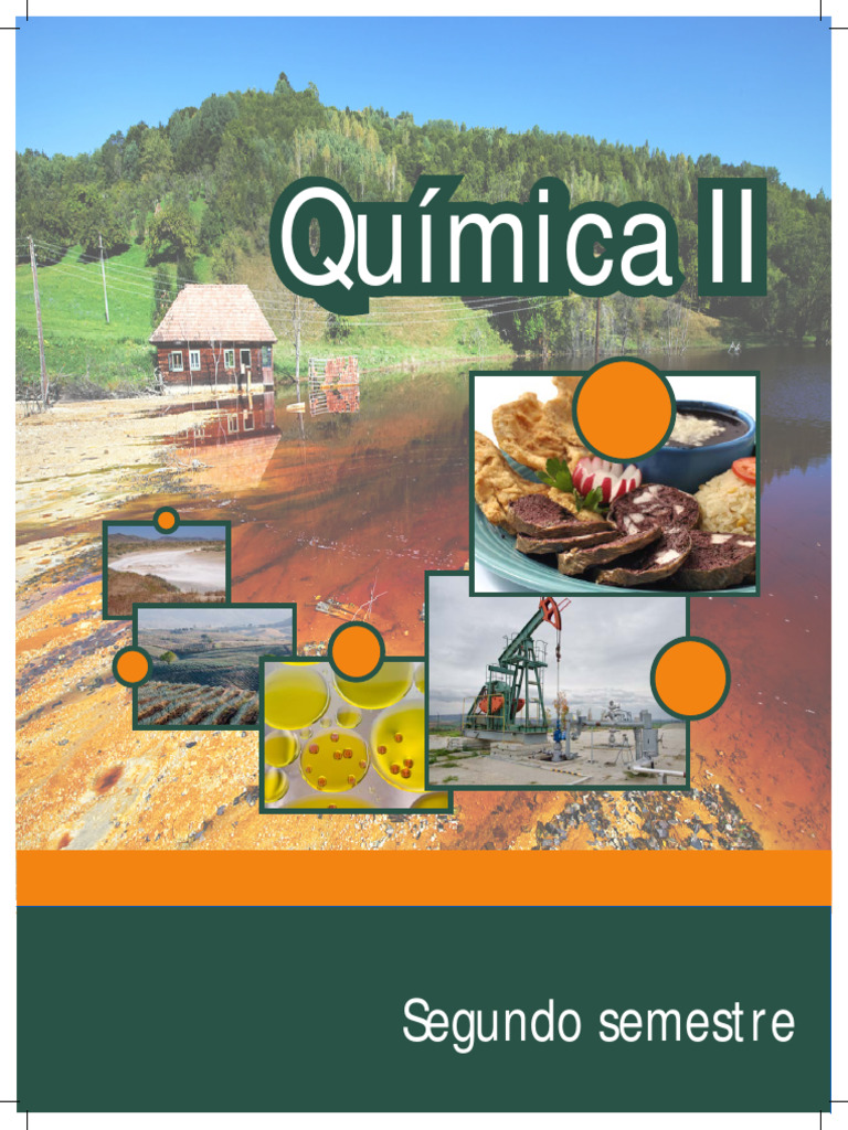 Quimica - II REDUCIDO | PDF | Aprendizaje | Experimentar
