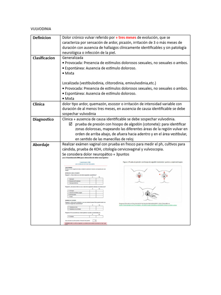 Guía Completa para Tratar Vulvodinia | PDF | Medicina CLINICA ...