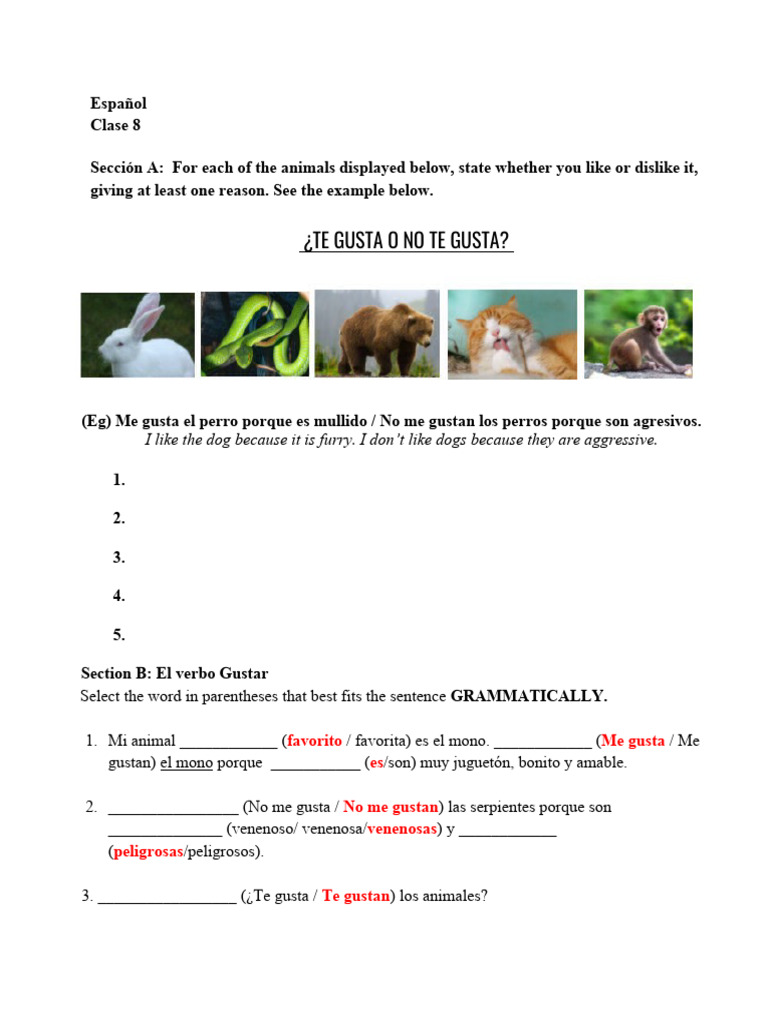 Los Animales Practice Worksheet | PDF