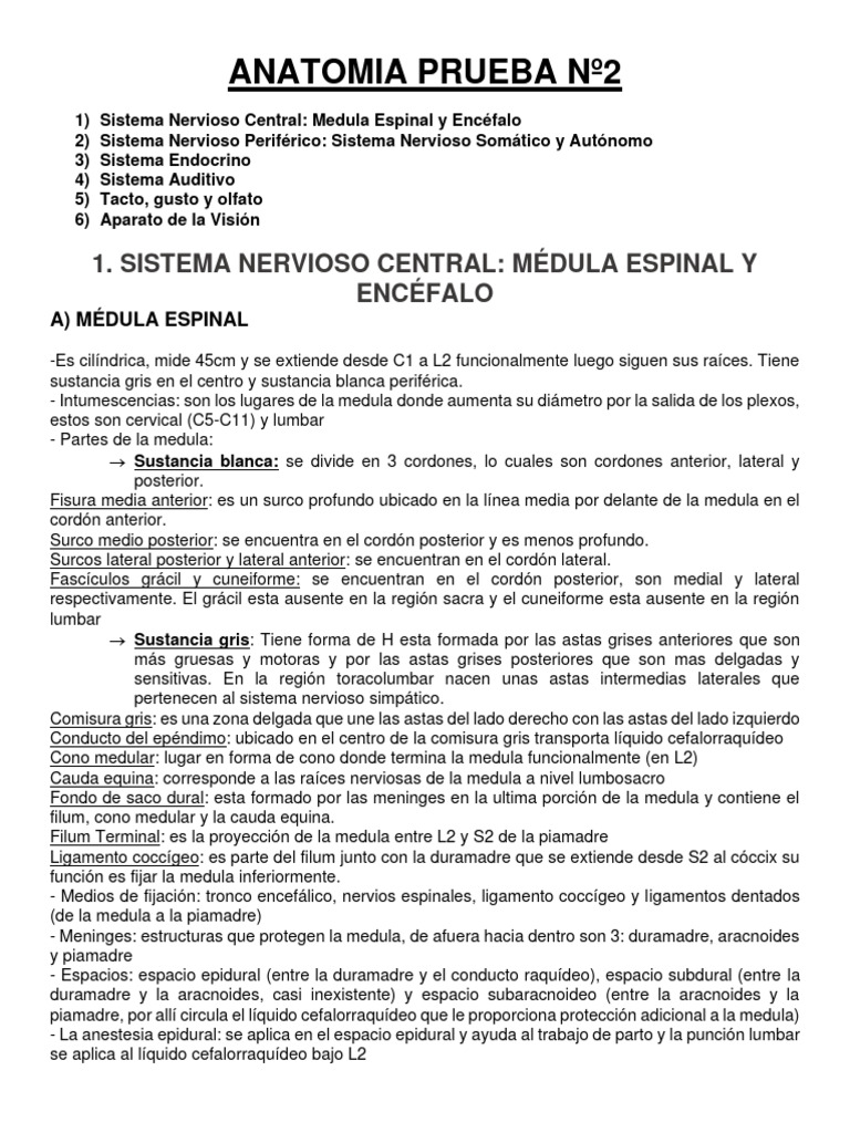 ANAT105 2 Sepu | PDF
