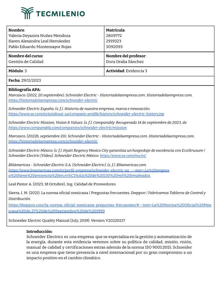 E3 - Karen, Valeria y Pablo | PDF | Negocios