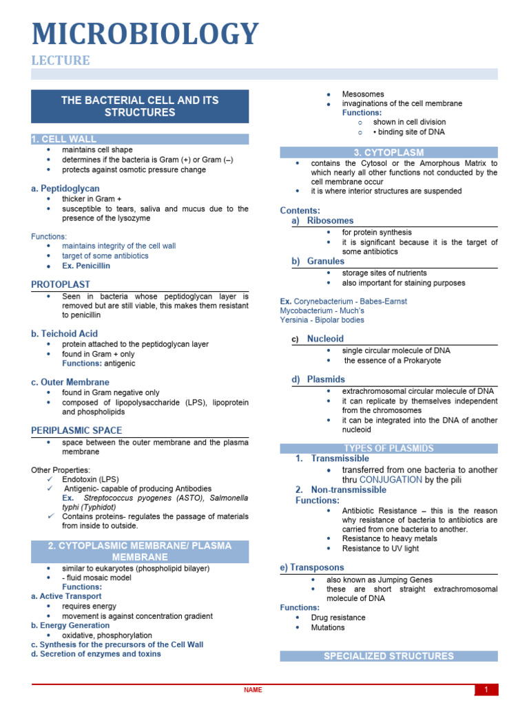 Microbiology Lec | PDF | Bacteria | Cell (Biology)