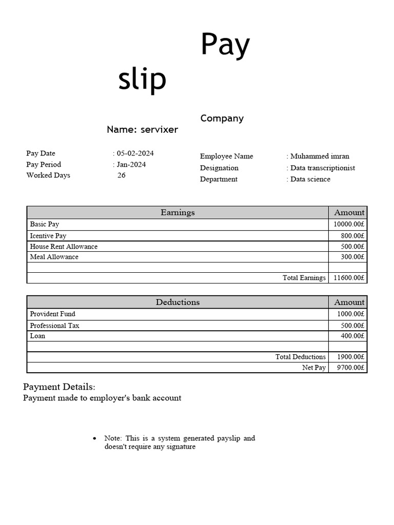 Servixer January 2024 Payslip Summary | PDF