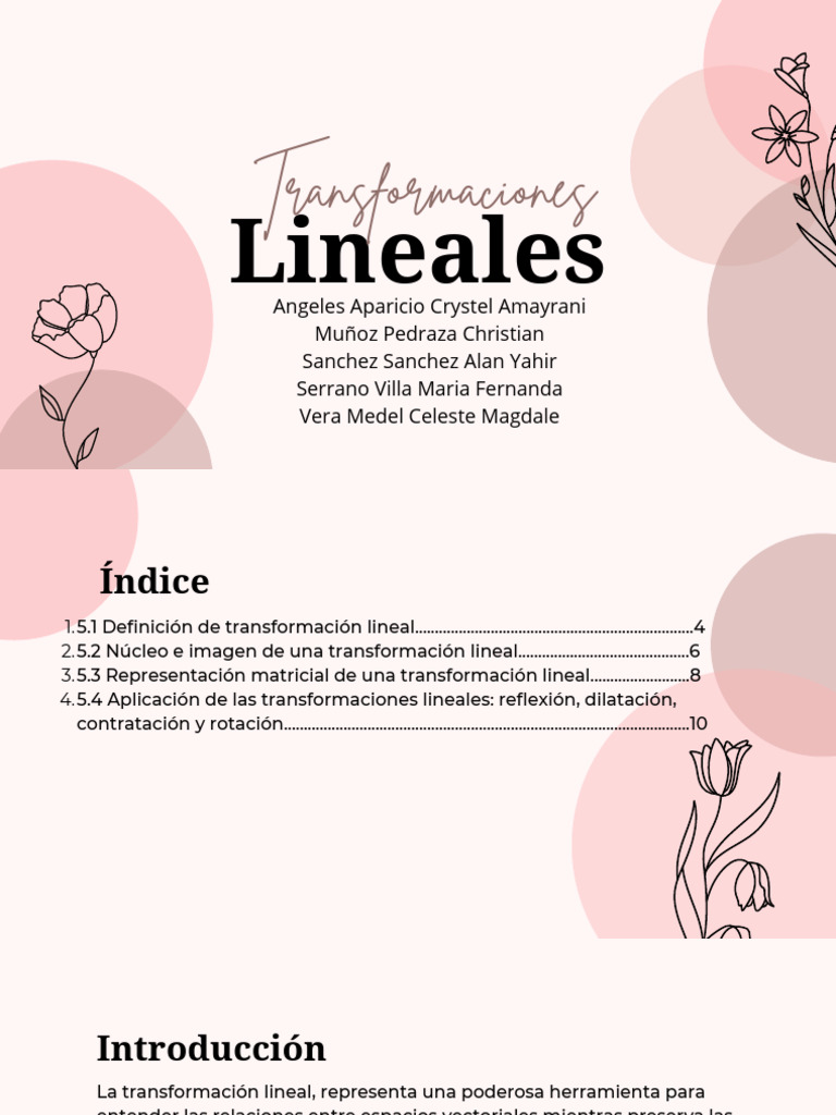 Transformaciones Lineales (1) - 231207 - 115229 | PDF | Mapa lineal | Espacio vectorial