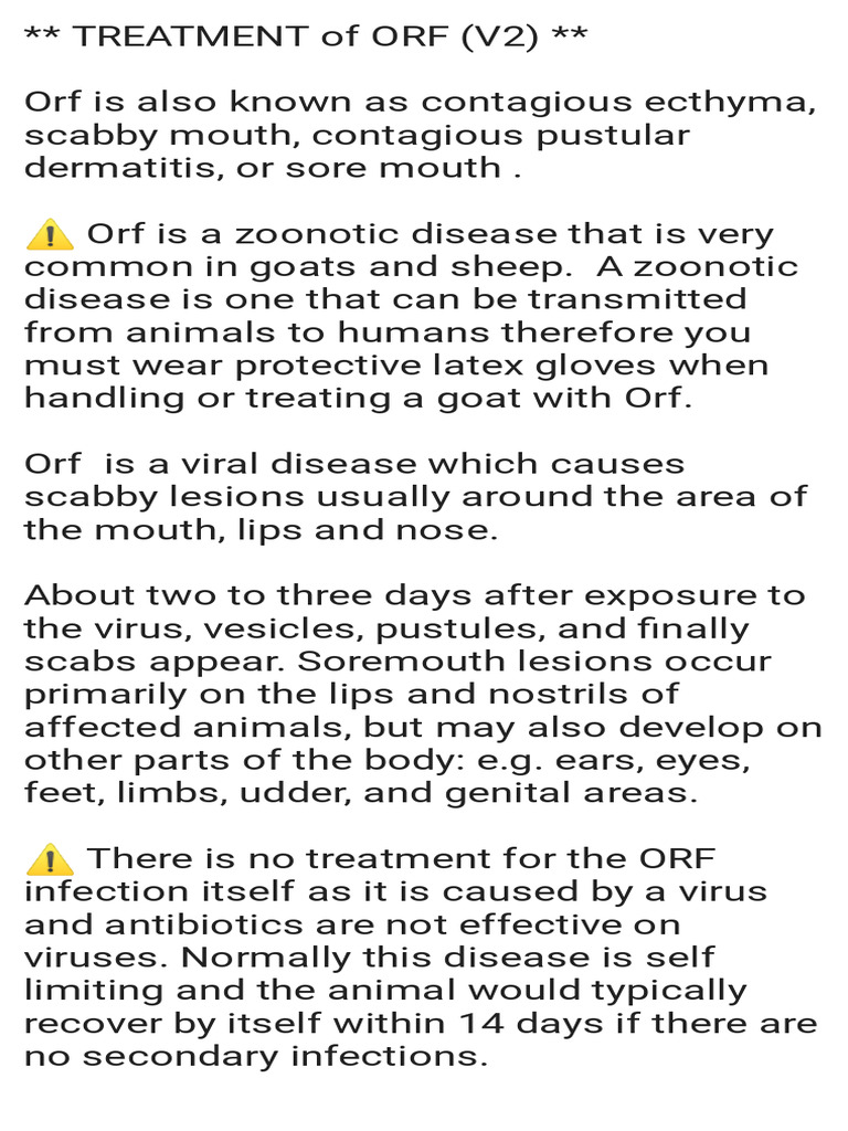 Orf Treatment in Animal | PDF | Medical Specialties | Veterinary Medicine