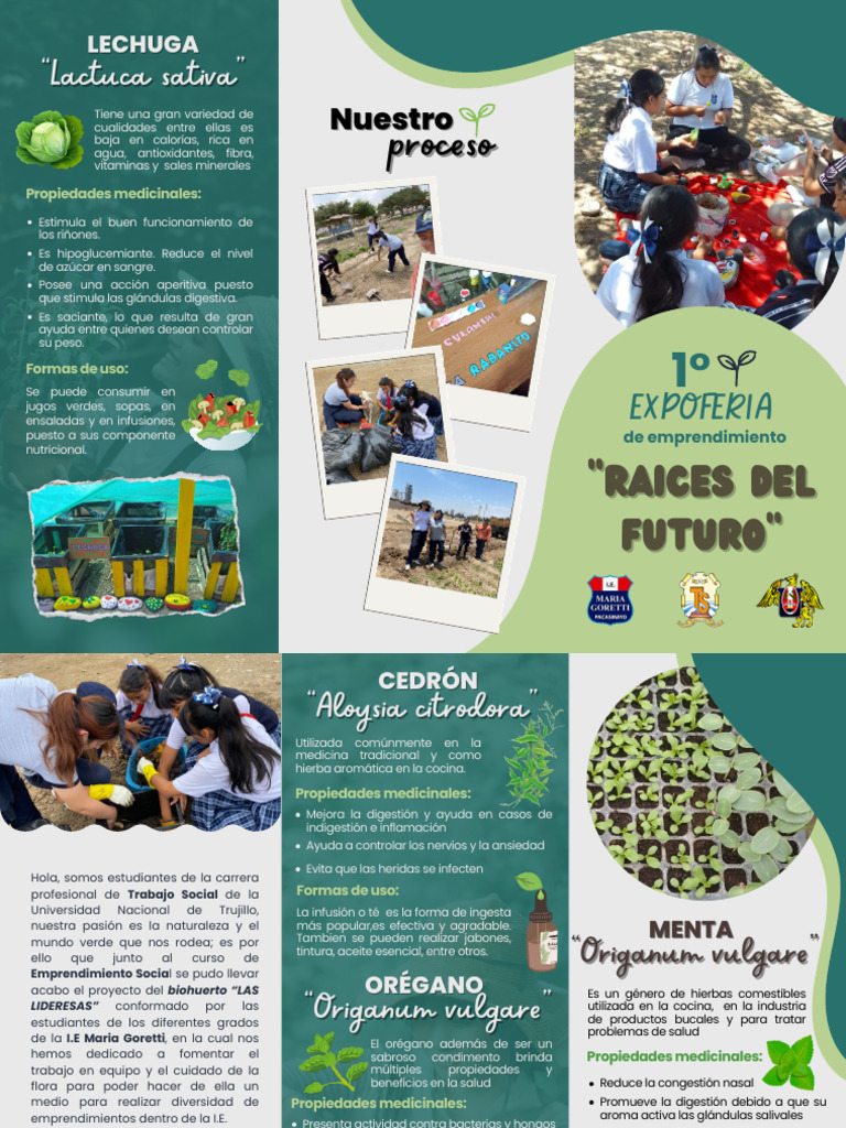 Triptico - EMPRENDIMIENTO SOCIAL - BIOHUERTO | PDF | Orégano | Lechuga