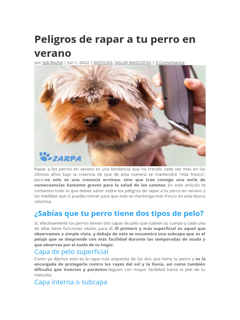 Peligros de Rapar A Tu Perro en Verano | PDF | Especialidades Medicas ...